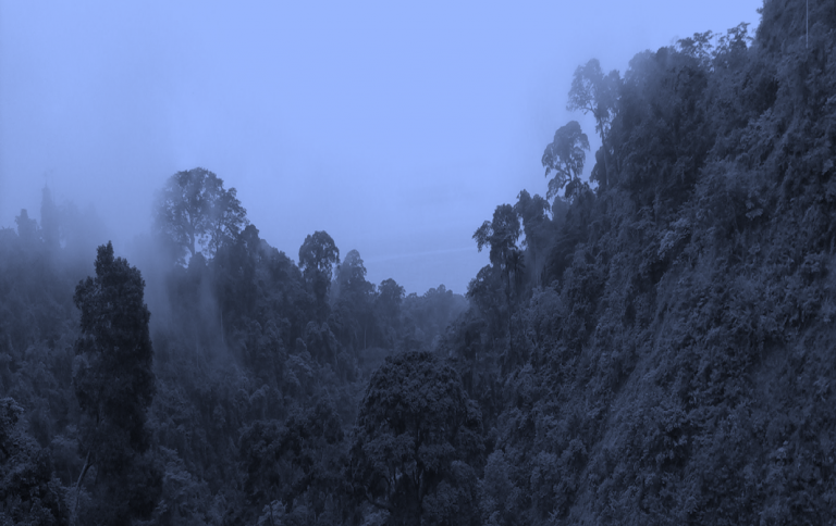 Informe APROFORT: Solo el 22% de cumplimiento del plan anticorrupción ...